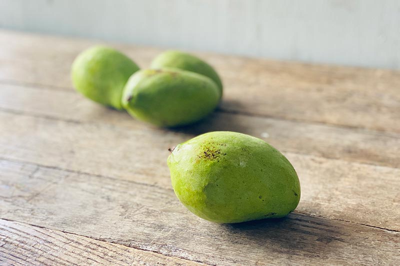 Chinese Mango – Farm Link Hawaiʻi