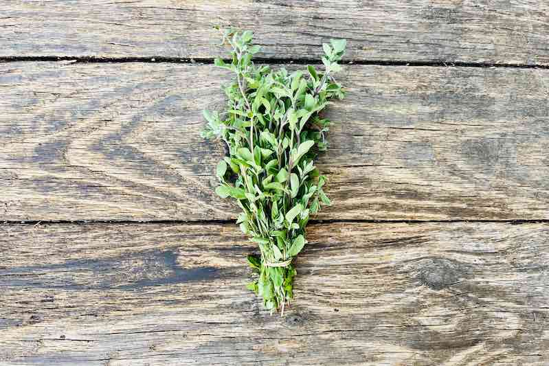 Organic Marjoram – Farm Link Hawaiʻi