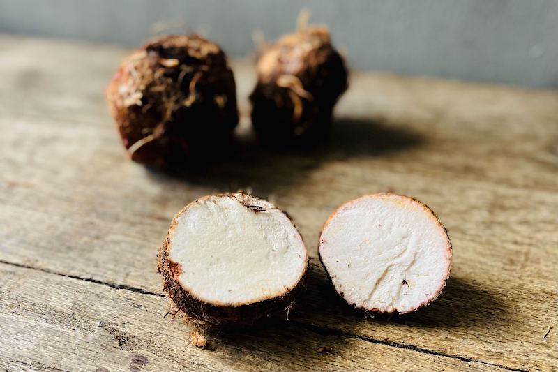 Organic Kalo (Taro) – Farm Link Hawaiʻi