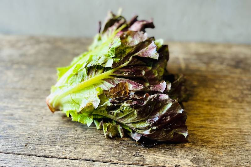 Red Leaf Lettuce – Farm Link Hawaiʻi