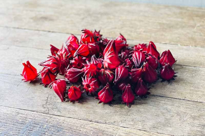 Roselle – Farm Link Hawaiʻi