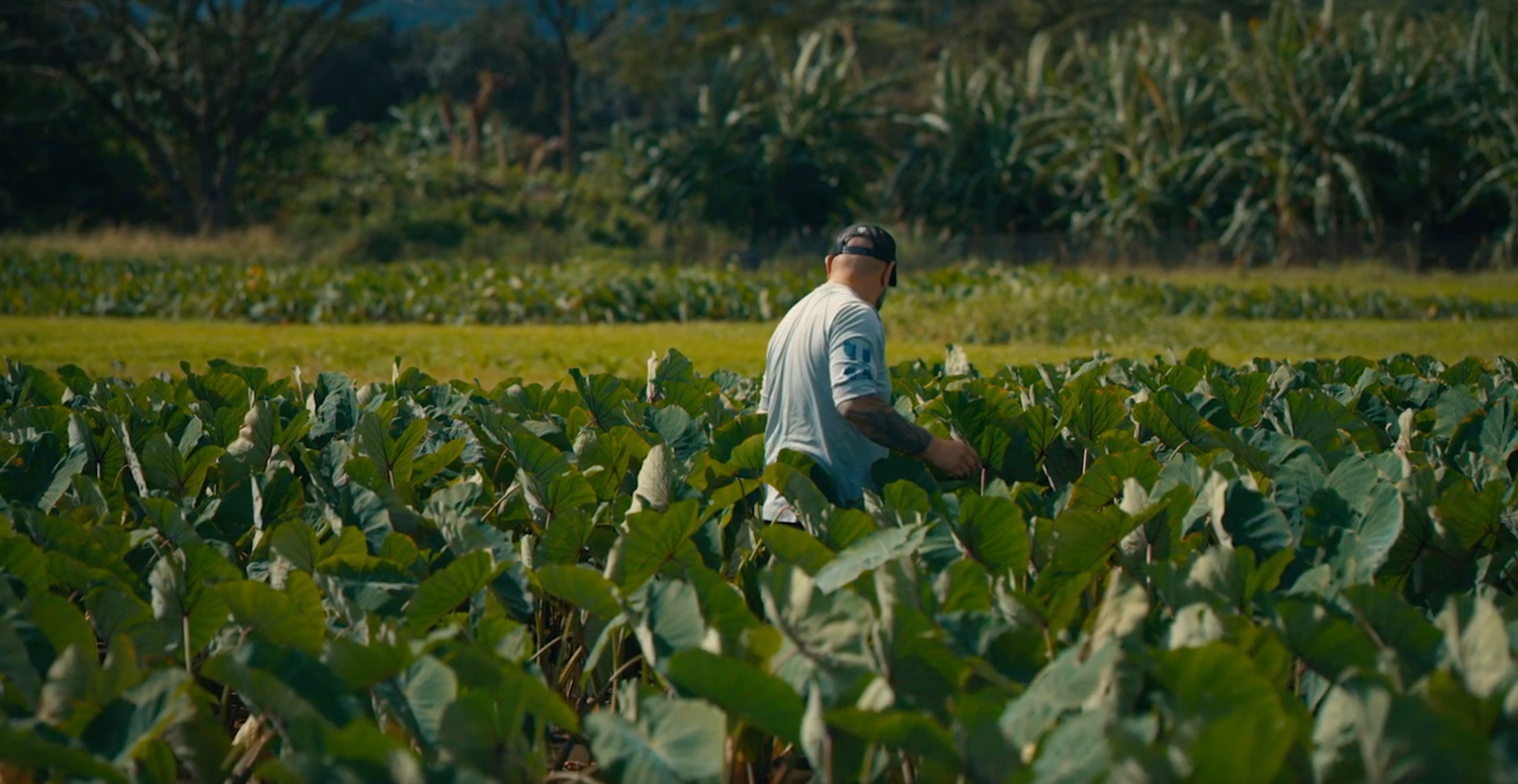 About Farm Link – Farm Link Hawaiʻi