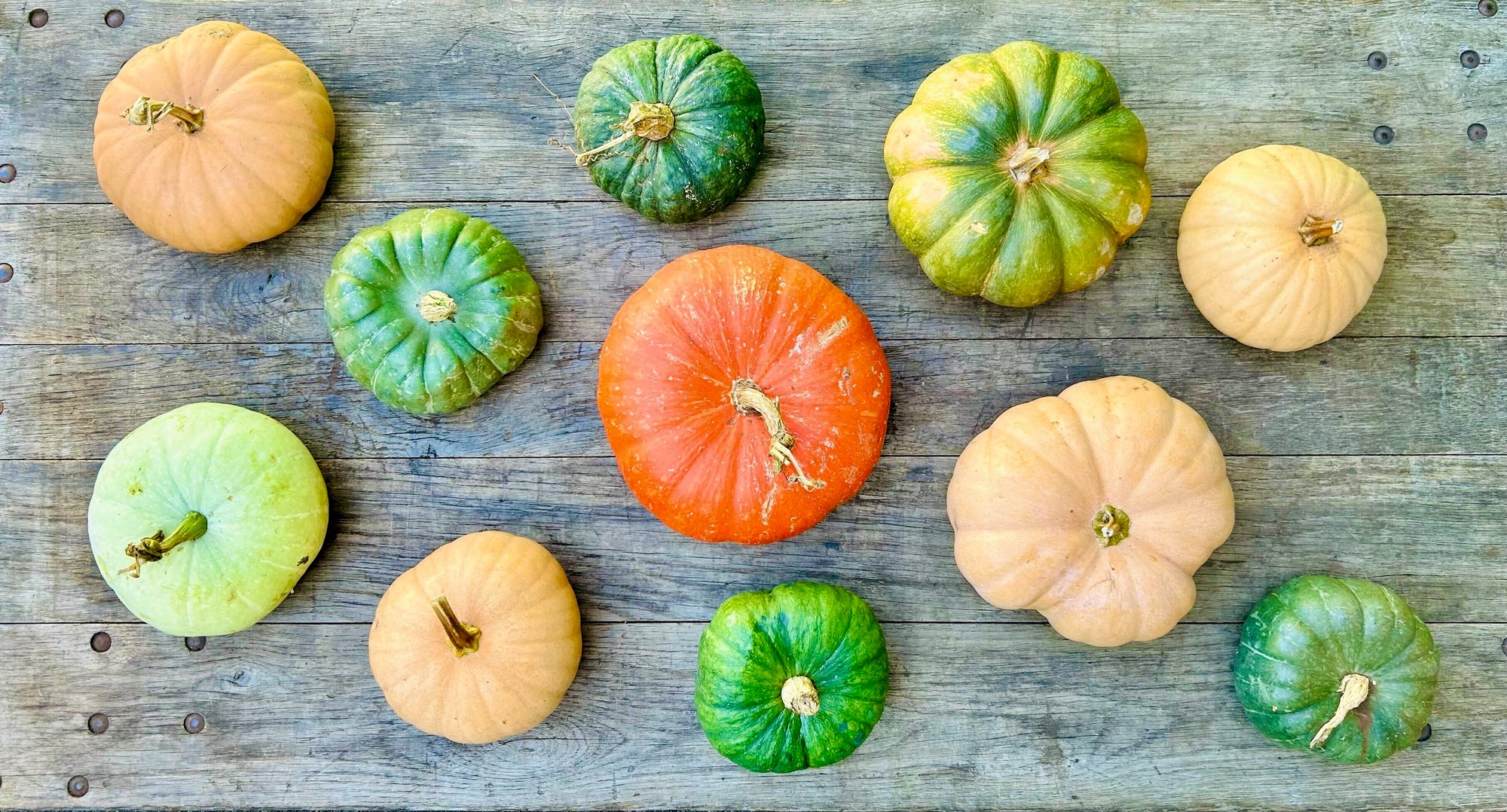 Farm Link Hawaiʻi - The best selection of local groceries on Oʻahu